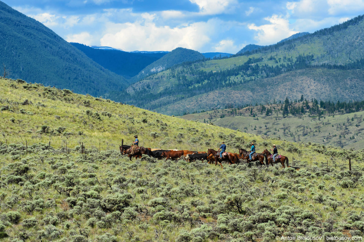 Ранчо и Родео в Ashcroft, BC