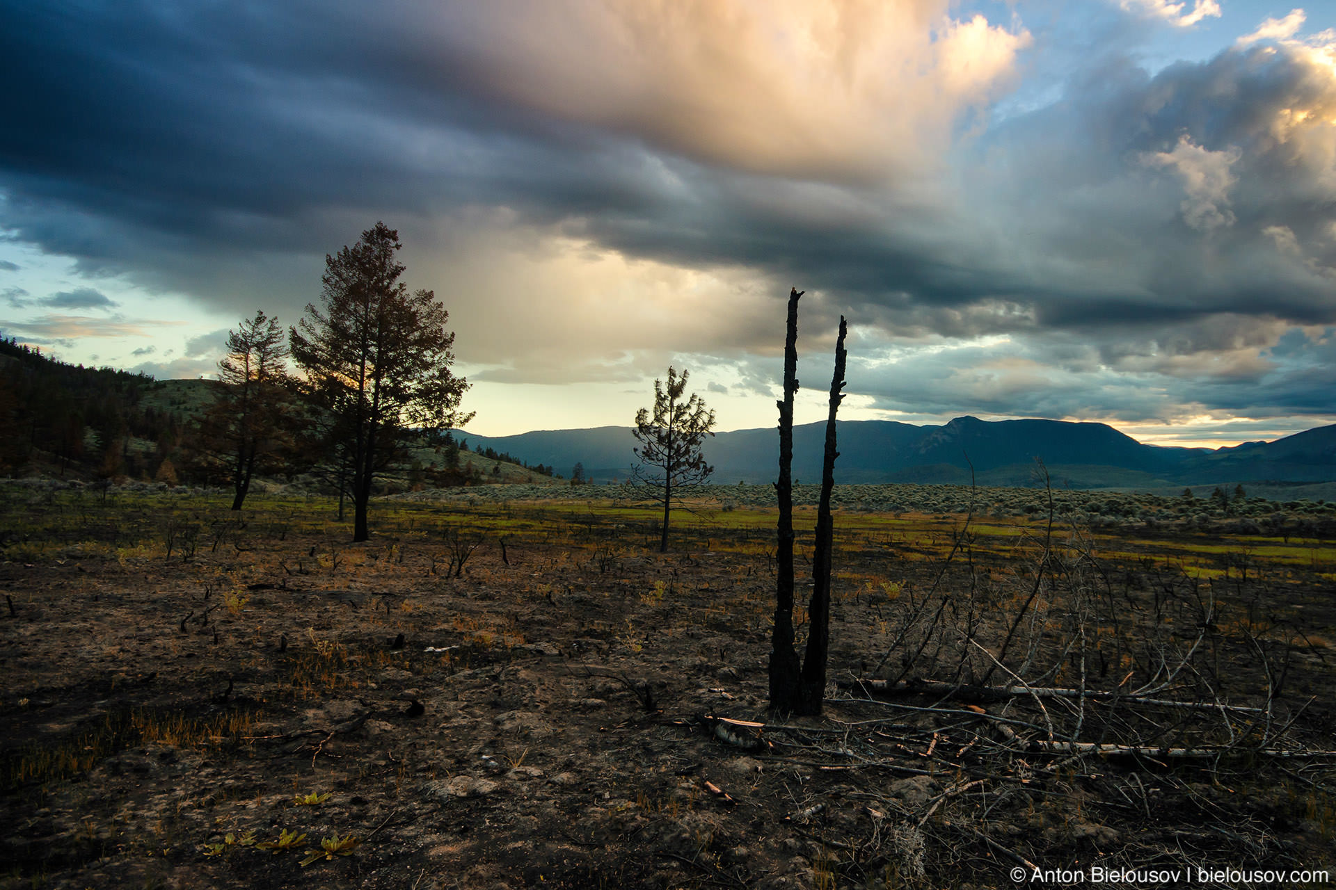 Ранчо и Родео в Ashcroft, BC