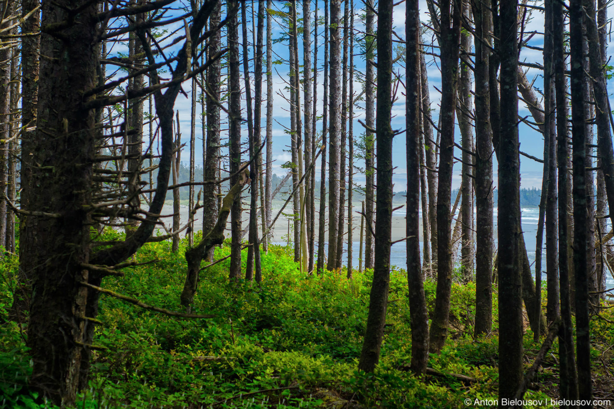 Путешествия: На краю Земли