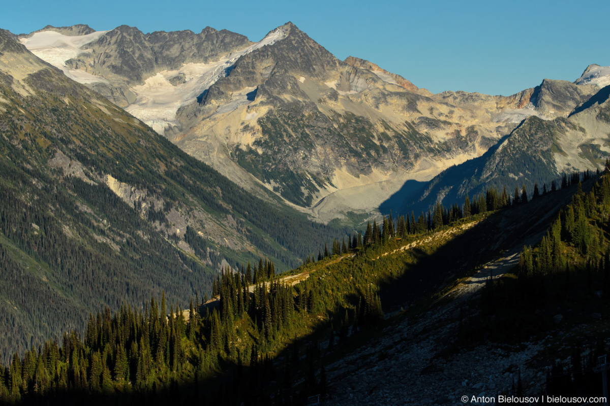 Путешествия: Blackcomb Meadows