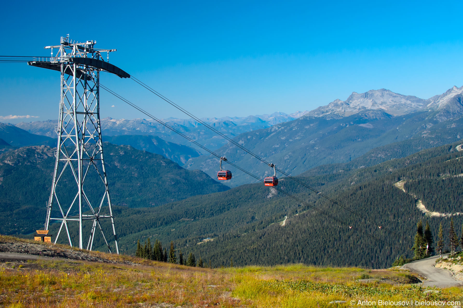 Путешествия: Blackcomb Meadows