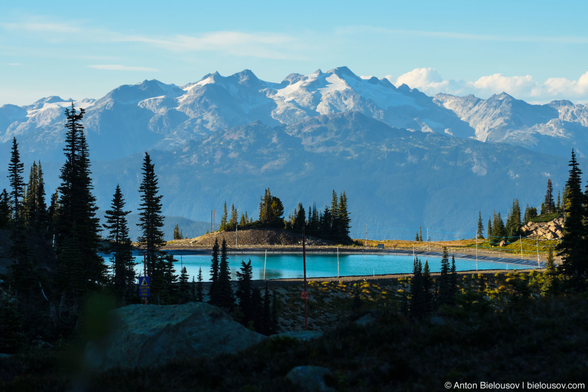 Путешествия: Blackcomb Meadows