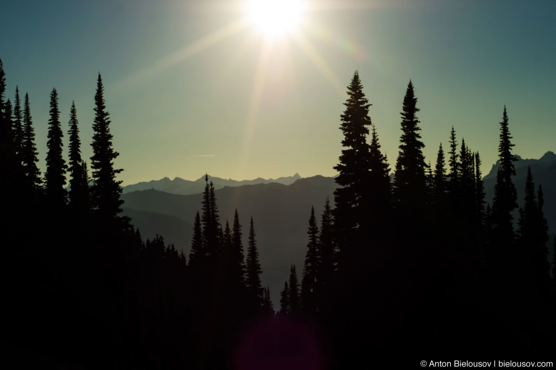 Путешествия: Blackcomb Meadows