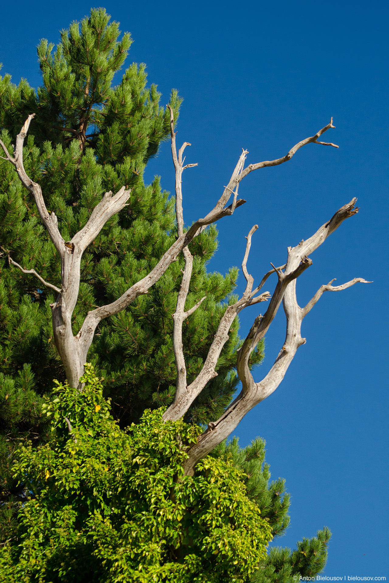В погоне за стоячей волной — Уникальное место на Солнечном Берегу ...