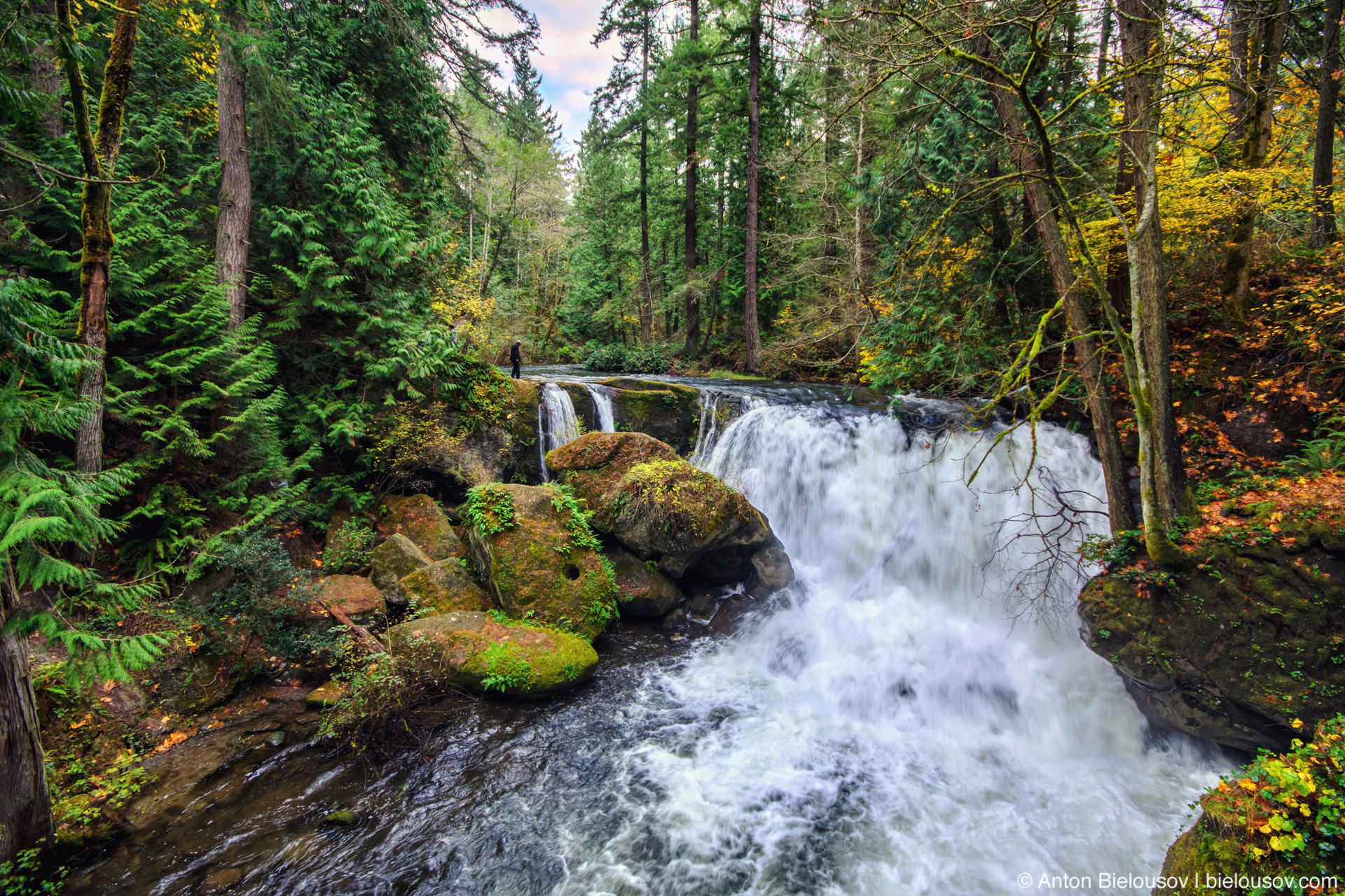 Путешествия: Whatcom Falls Park