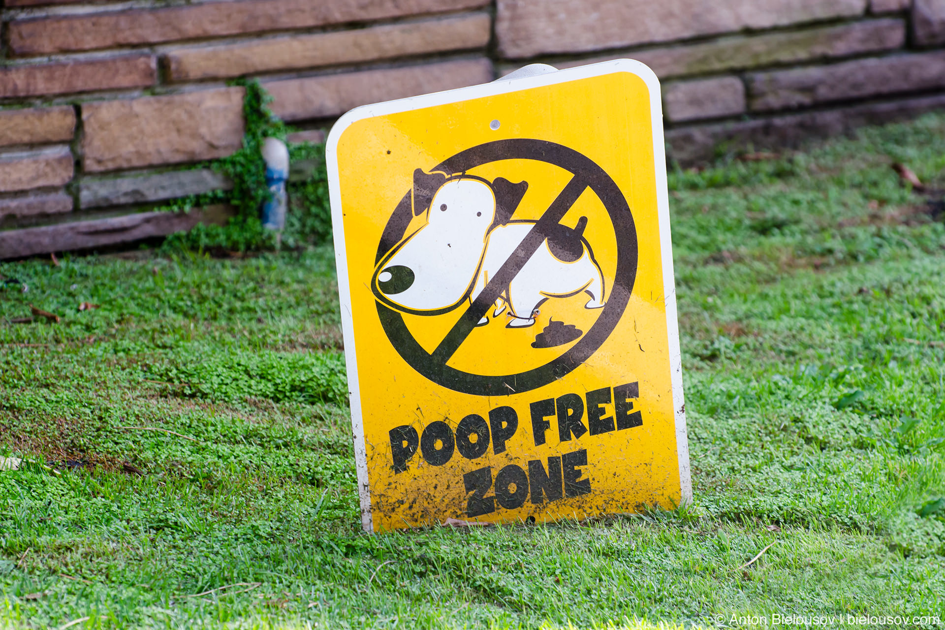 Путешествия: Голливуд: Аллея Славы