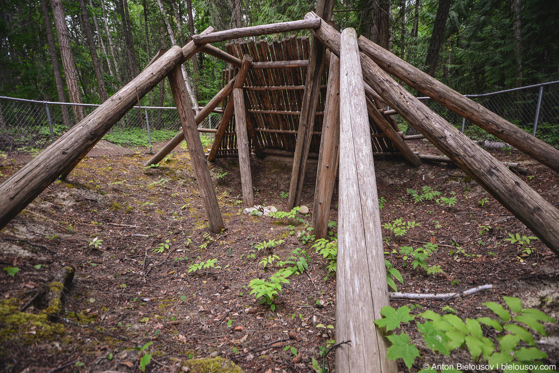Озеро Шушап (Shuswap Lake Provincial Park, BC)