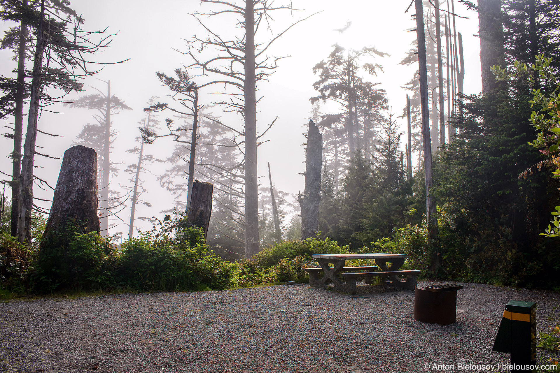 Кемпинг в Национальном парке — Green Point Campground, Pacific Rim ...