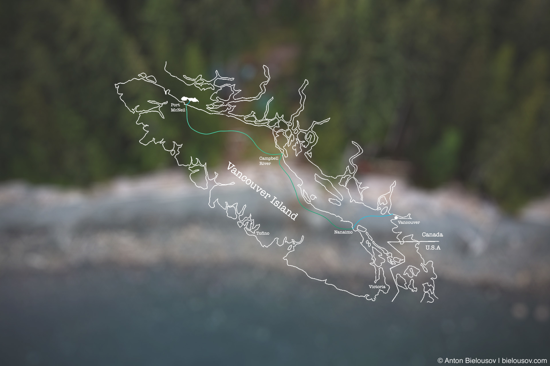 Malcolm Island — Остров финских социалистов и чешущихся касаток ...