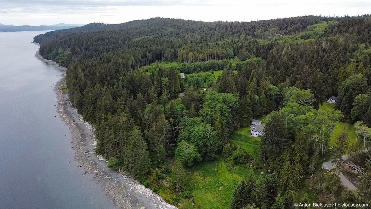 Malcolm Island — Остров финских социалистов и чешущихся касаток ...