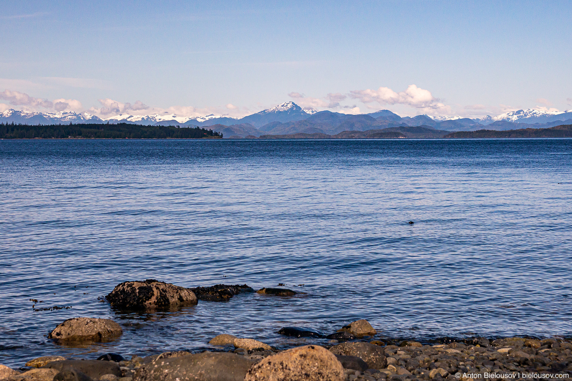 Alert Bay (Индейский остров Корморант)